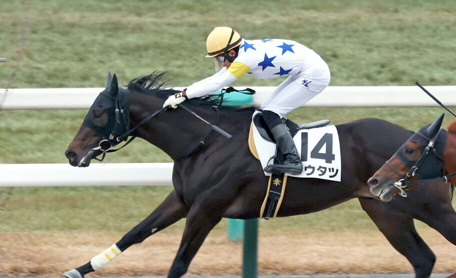 【京都6R・2歳新馬】トウタツで到達！ デビュー31年目の幸英明騎手がJRA通算1700勝 - Luxury House